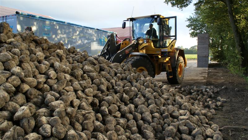 Suikerbietencampagne Flevoland start schoon - Kraan nieuw voor ...